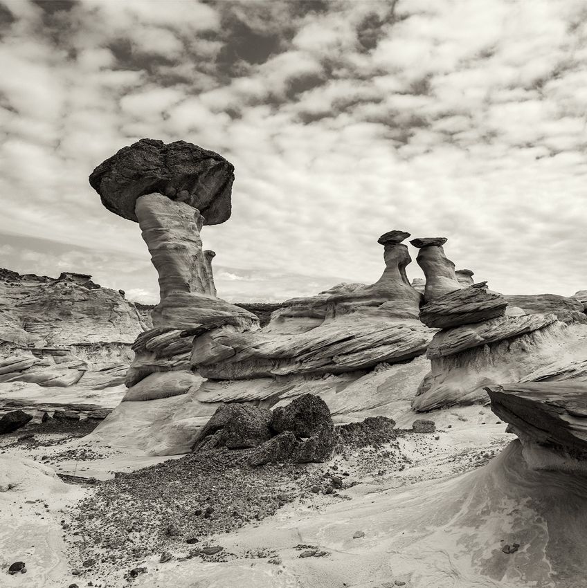 Priscilla Rattazzi's Art For Sale, Exhibitions & Biography | Ocula Artist