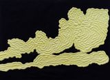Caroline Rothwell's Art For Sale, Exhibitions & Biography | Ocula Artist