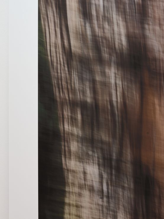 Ratanui #8, Tarapuruhi, Whanganui, 2021 by Anne Noble, Pigment on paper ...