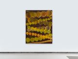 Dan Zhu's Art For Sale, Exhibitions & Biography | Ocula Artist