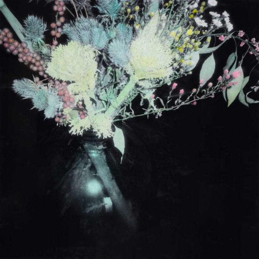 Sam Evans' Art For Sale, Exhibitions & Biography | Ocula Artist