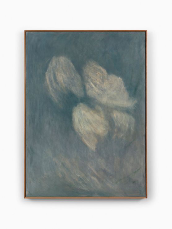 Cherry Blossom in Wittem, 2025 by Nuria Maria | Ocula