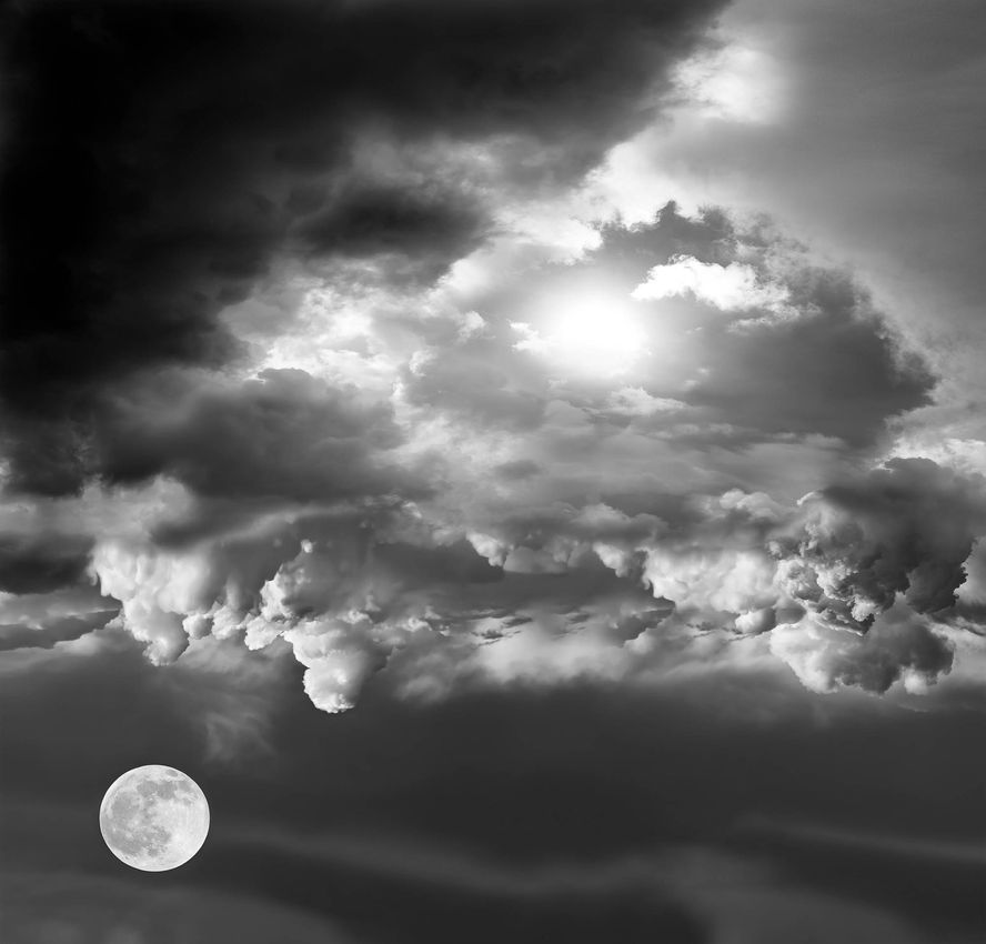 Jae Hoon Lee's Art For Sale, Exhibitions & Biography | Ocula Artist