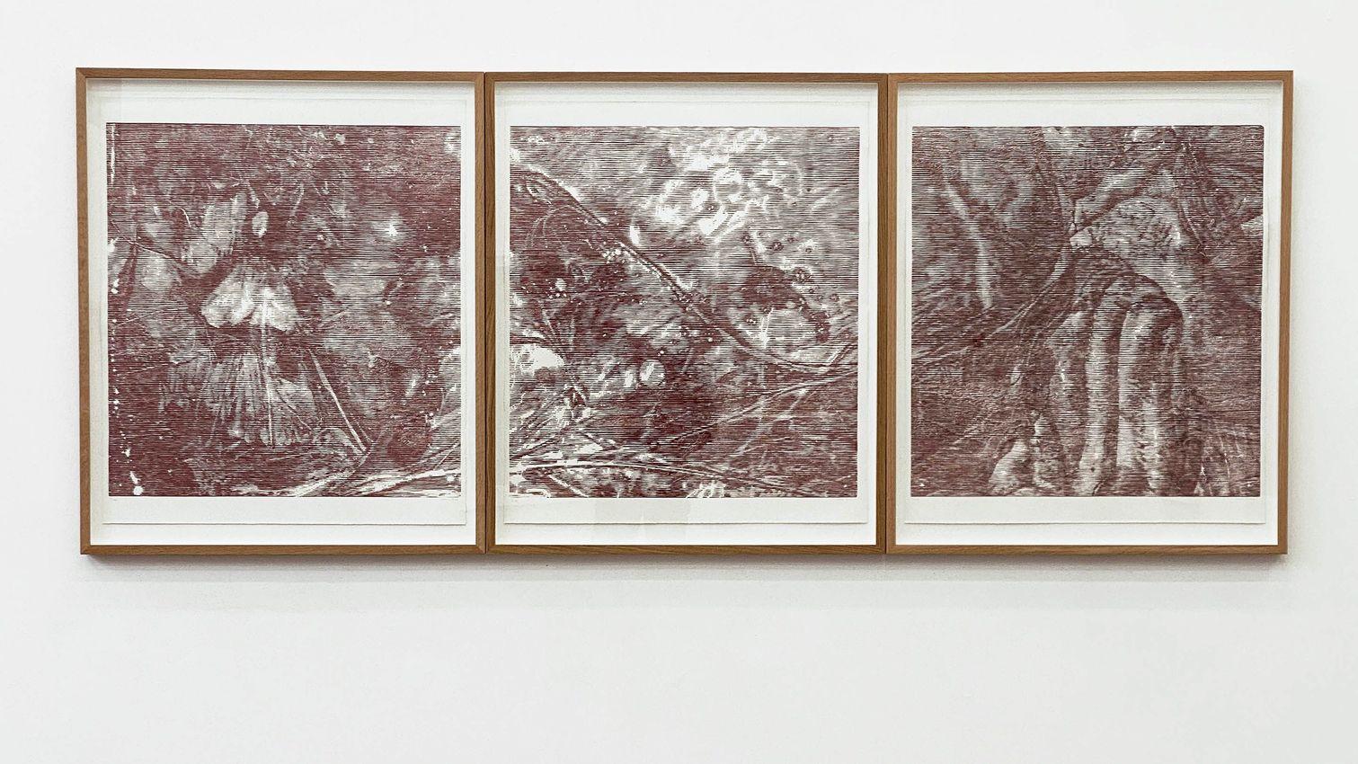 Sam Harrison's Art For Sale, Exhibitions & Biography | Ocula Artist