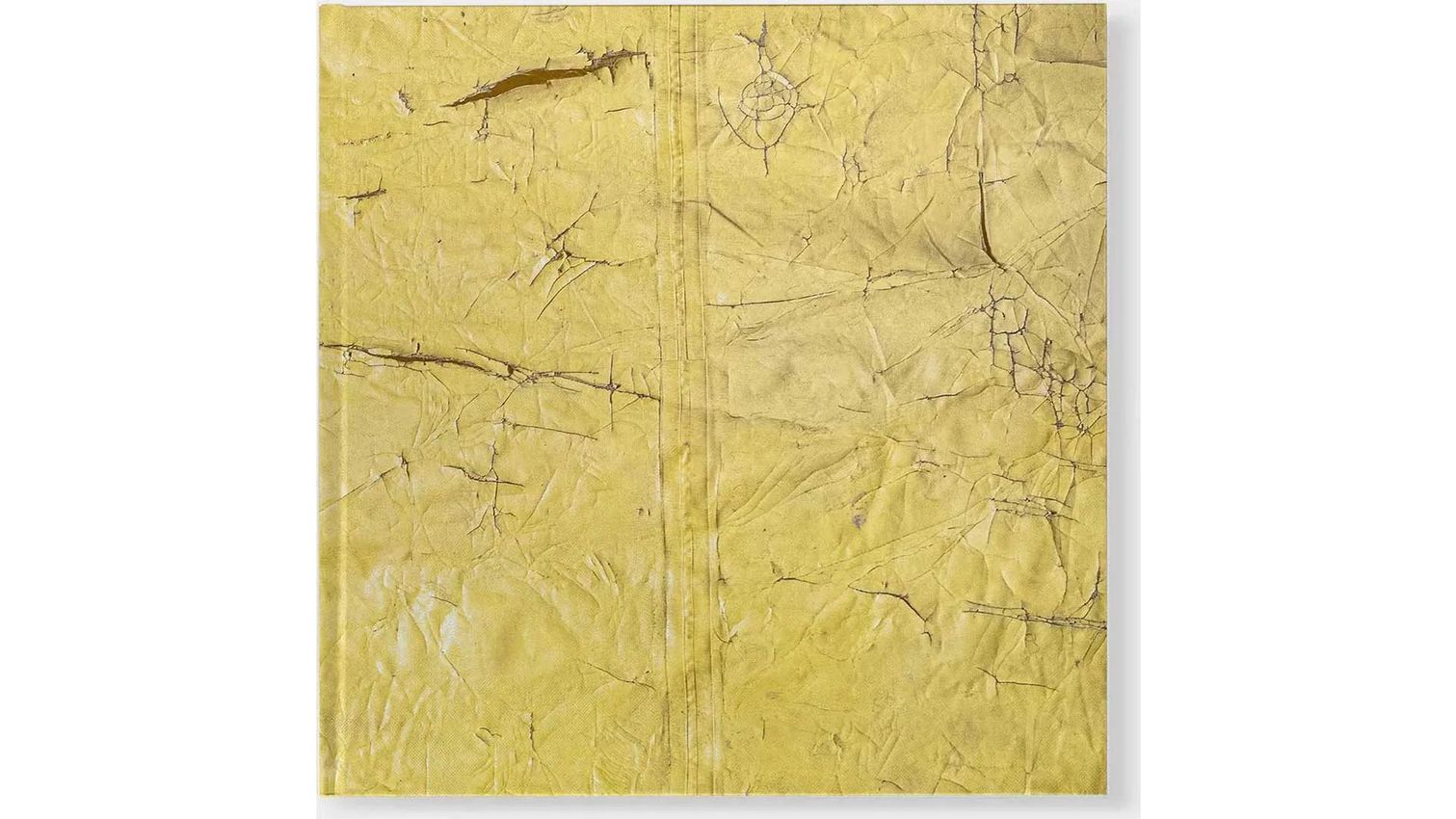 David Hammons, 'Concerto in Black and Blue' at Hauser & Wirth, Los ...