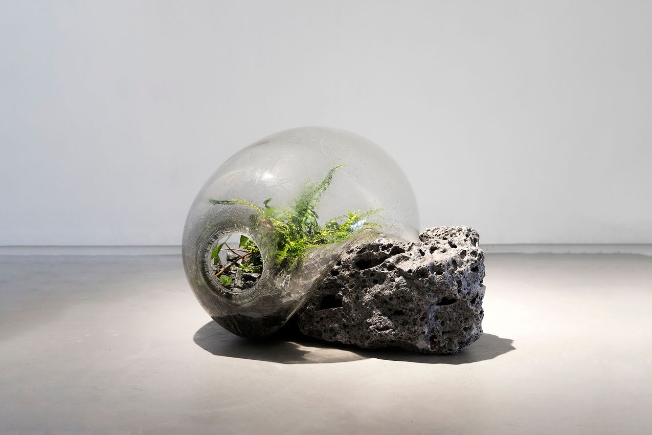 Jamie North's Art For Sale, Exhibitions & Biography | Ocula Artist