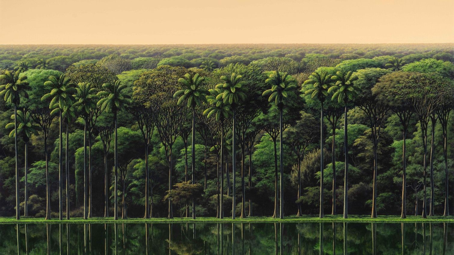 Tomás Sánchez's Art For Sale, Exhibitions & Biography | Ocula Artist