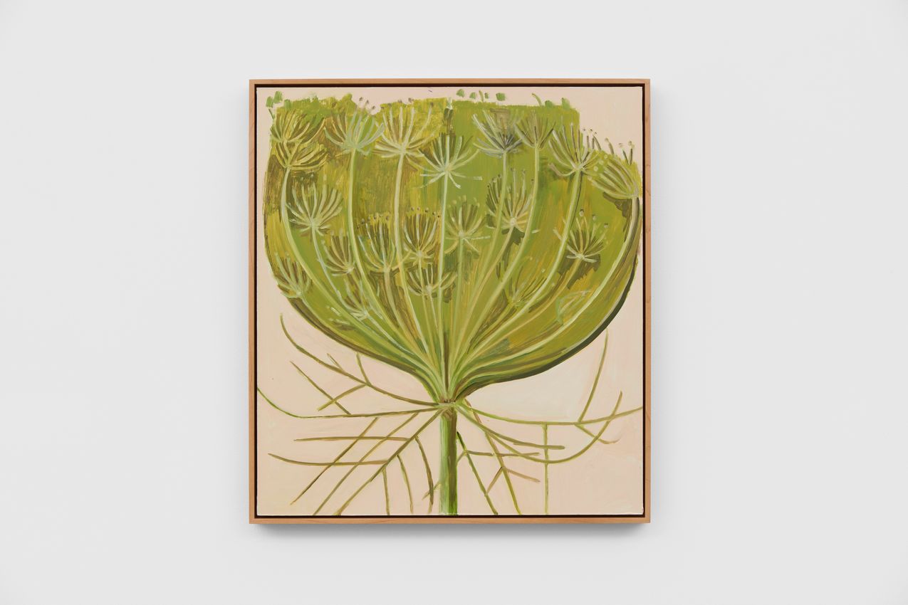 Lois Dodd's Art For Sale, Exhibitions & Biography | Ocula Artist