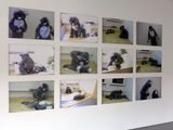 Kathy Temin Artworks | Ocula Artist