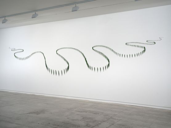 Snake River, 2019/2024 by Elizabeth Thomson | Ocula
