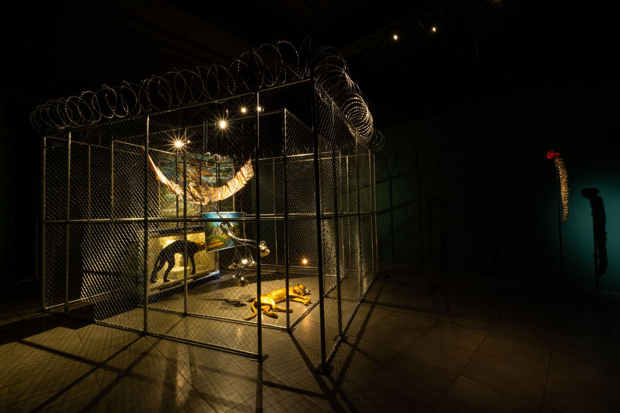 Timoteus Anggawan Kusno Interviews, News and Reports | Ocula