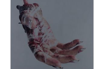 Avery Singer's Art For Sale, Exhibitions & Biography | Ocula Artist