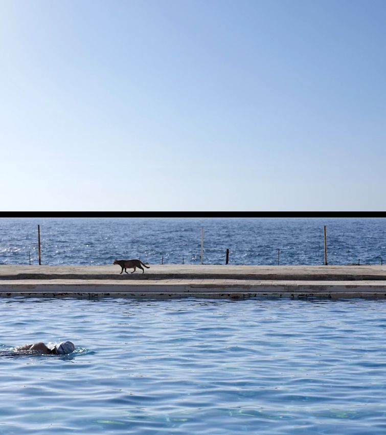 Nesrine Khodr's Art For Sale, Exhibitions & Biography | Ocula Artist