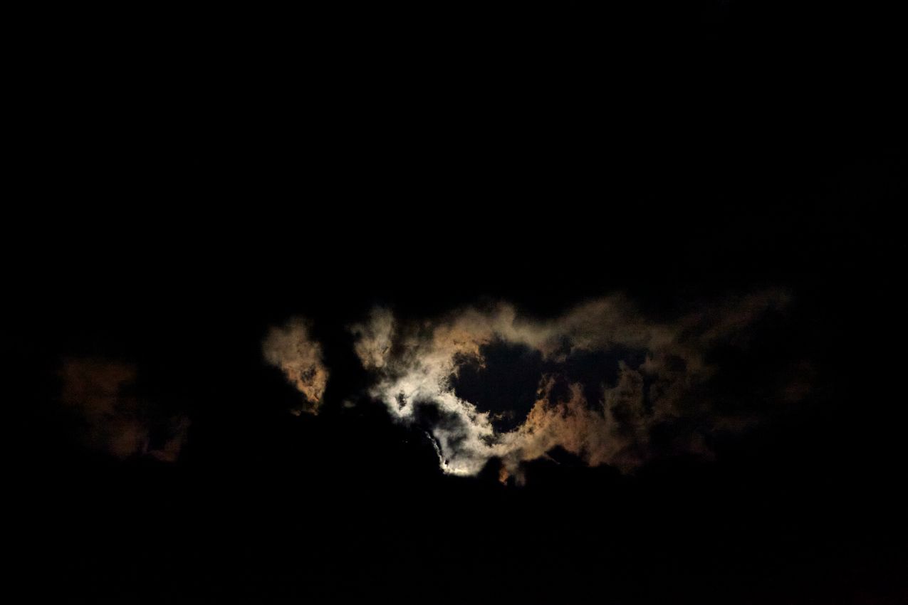 Peter Piller Artworks | Ocula Artist