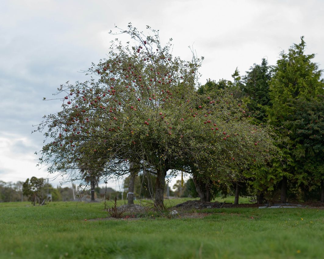 John Collie's Art For Sale, Exhibitions & Biography | Ocula Artist