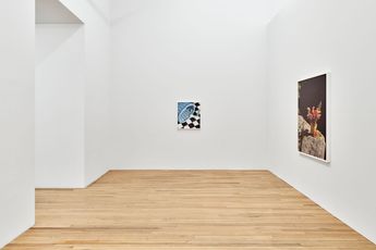 Roe Ethridge's Art For Sale, Exhibitions & Biography | Ocula Artist