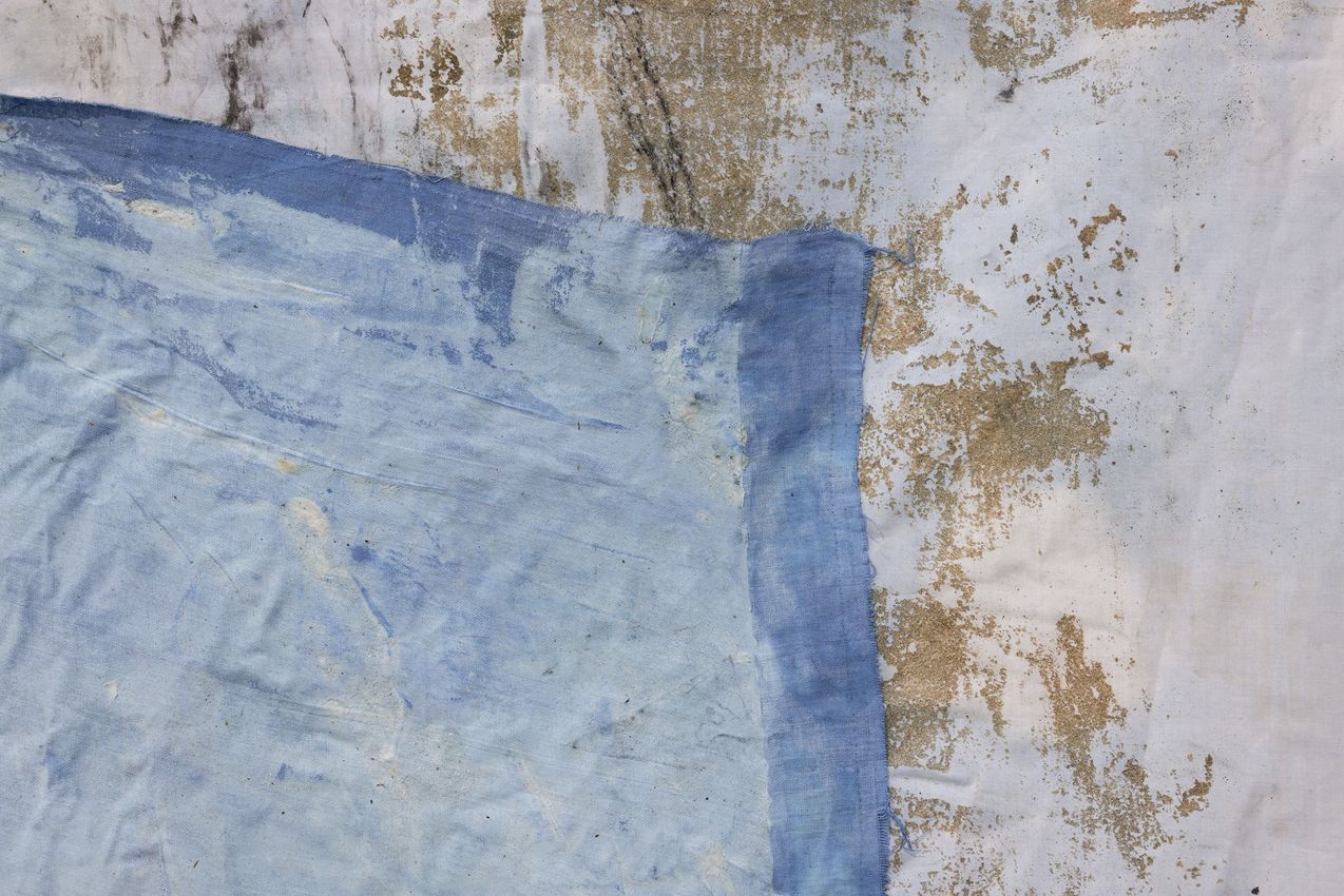 Dala Nasser Exhibitions at leading galleries | Ocula