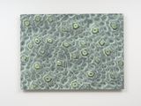 Elizabeth Thomson's Art For Sale, Exhibitions & Biography | Ocula Artist
