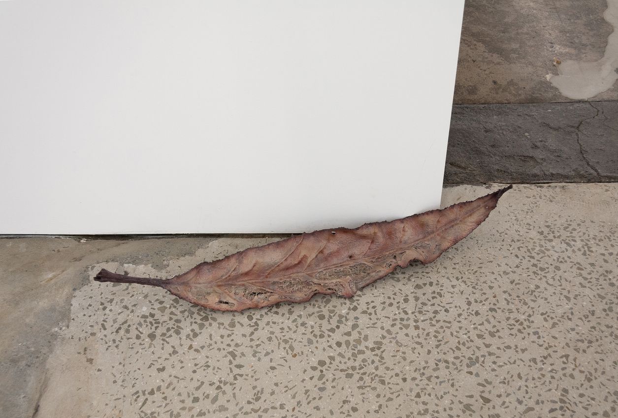 Lewis Fidock & Joshua Petherick's Art For Sale, Exhibitions & Biography ...