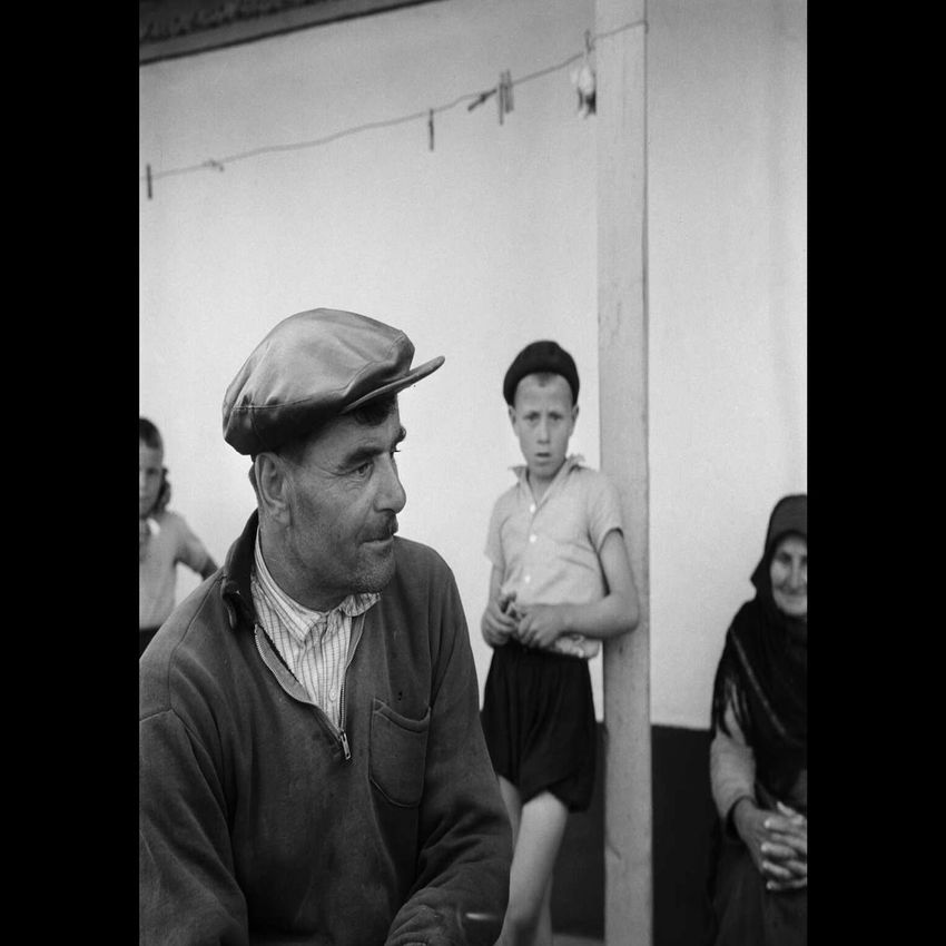 Péter Nádas' Art For Sale, Exhibitions & Biography | Ocula Artist