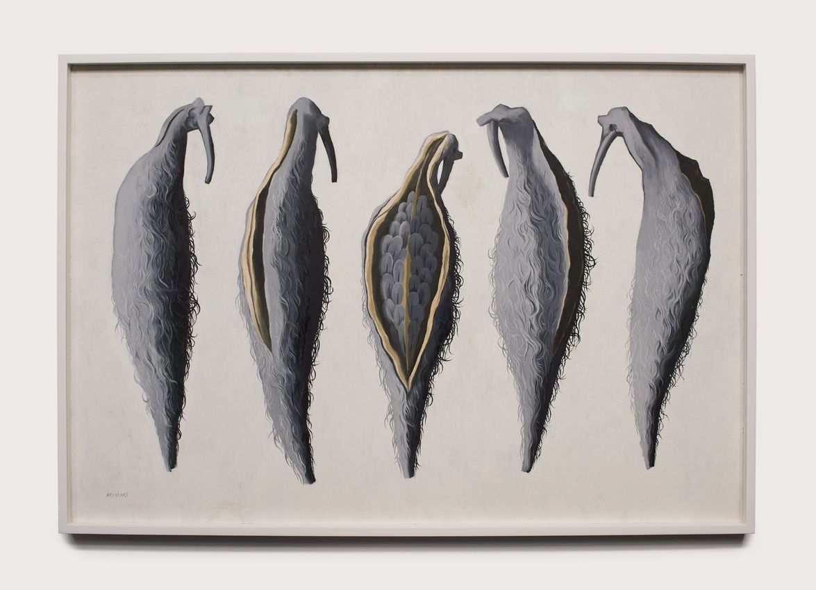 Marion Adnams Artworks | Ocula Artist