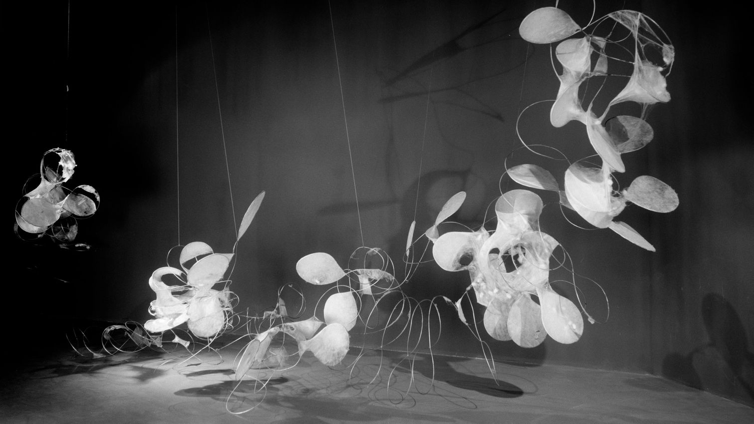 Liang Shaoji's Art For Sale, Exhibitions & Biography | Ocula Artist