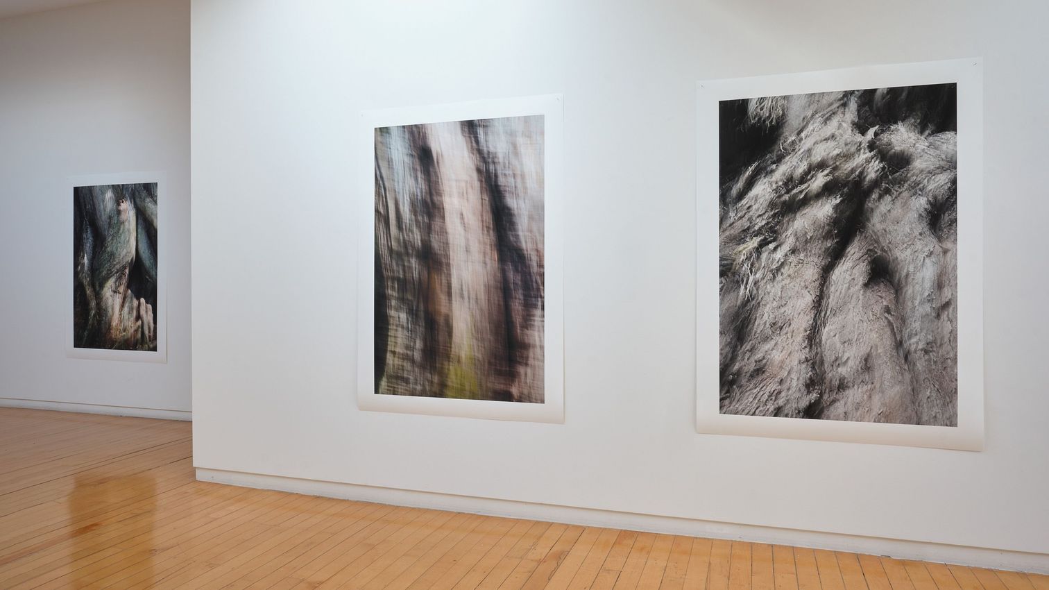 Anne Noble's Art For Sale, Exhibitions & Biography | Ocula Artist