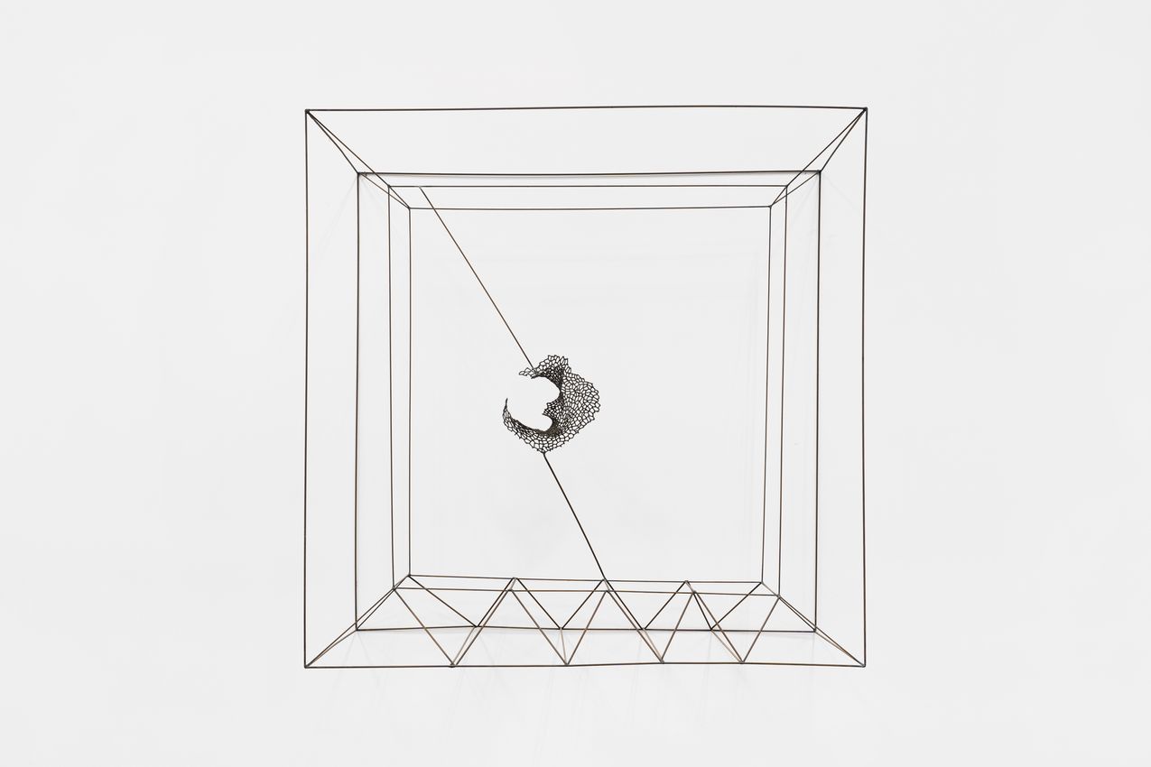 John Pai's Art For Sale, Exhibitions & Biography | Ocula Artist