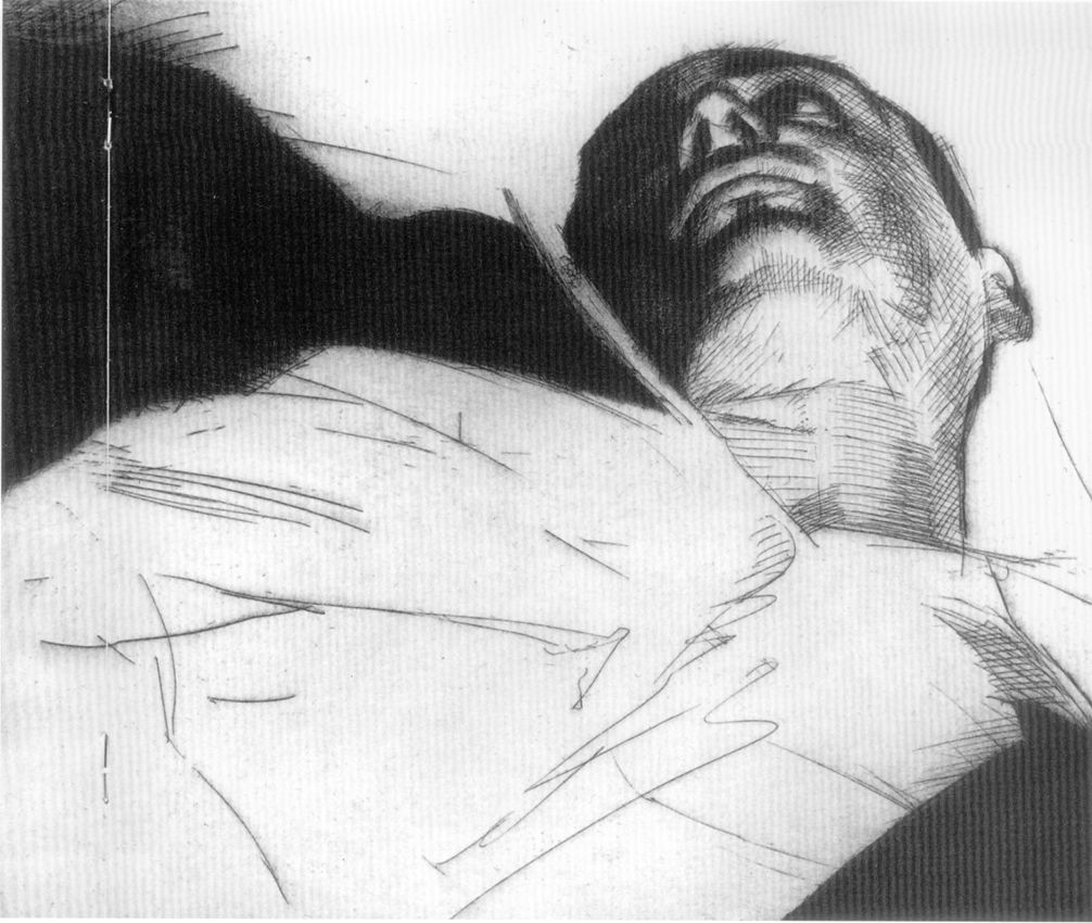 Stephen Conroy's Art For Sale, Exhibitions & Biography | Ocula Artist