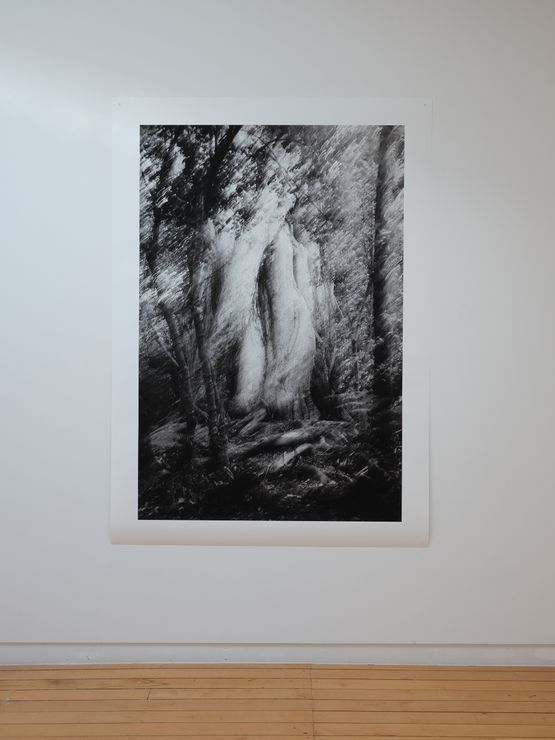 Ratanui #1. Tarapuruhi, Whanganui, 2021 by Anne Noble, Pigment on paper ...