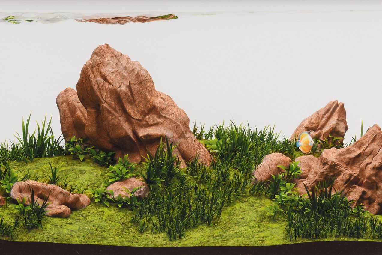 Erin Wright's Art For Sale, Exhibitions & Biography | Ocula Artist