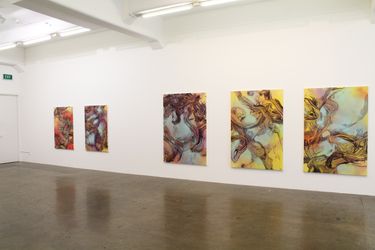 Judy Millar, 'Turning the World Inside Out: 30 Years a Painter' at Gow ...