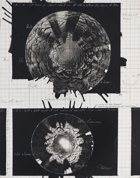 Untitled (Emergence) Drawing 3, 2018 by Jitish Kallat | Ocula