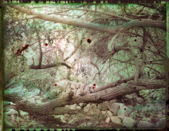 Untitled 11, from 'For You Mother II' series, 2022 by Rula Halawani | Ocula