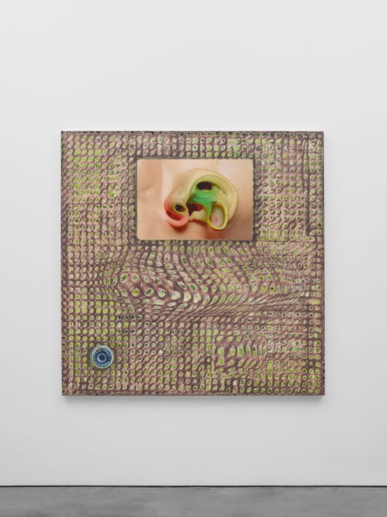 skin-grass field, 2025 by Tishan Hsu | Ocula