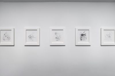 Rachel Rose's Art For Sale, Exhibitions & Biography | Ocula Artist