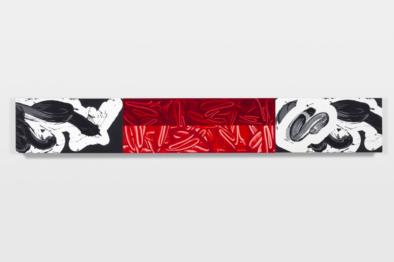 David Reed's Art For Sale, Exhibitions & Biography | Ocula Artist