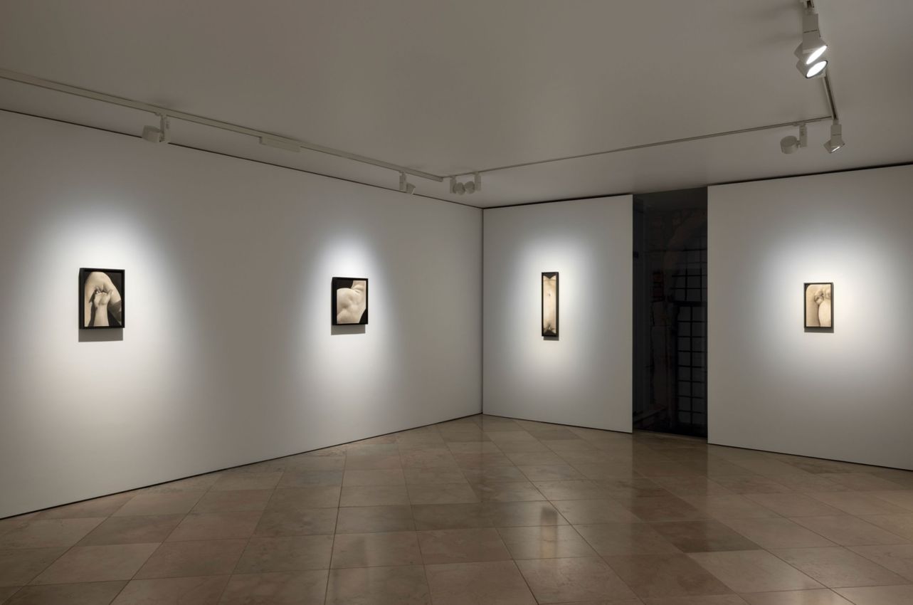Saskia Colwell, 'Skin On Skin' at Victoria Miro, Venice, Italy on 1 Feb ...
