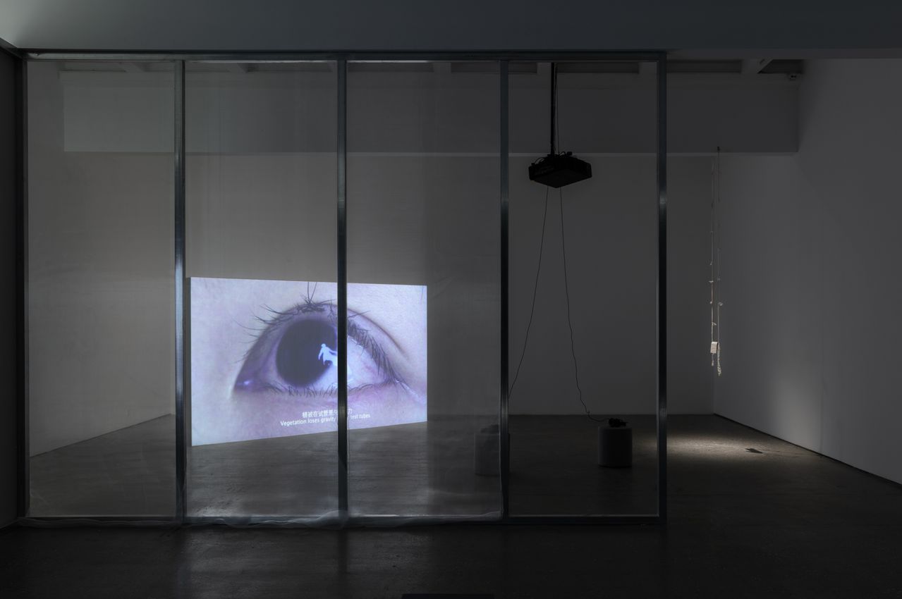 Yasmine Anlan Huang, 'Becoming Everyone, Everywhere' at Magician Space, Beijing, China on 26 Sep ...