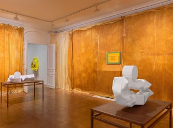 Carol Bove's Art For Sale, Exhibitions & Biography | Ocula Artist