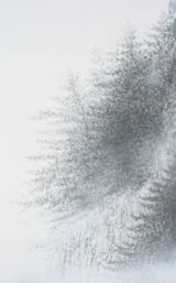 Hiroshi Senju's Art For Sale, Exhibitions & Biography | Ocula Artist