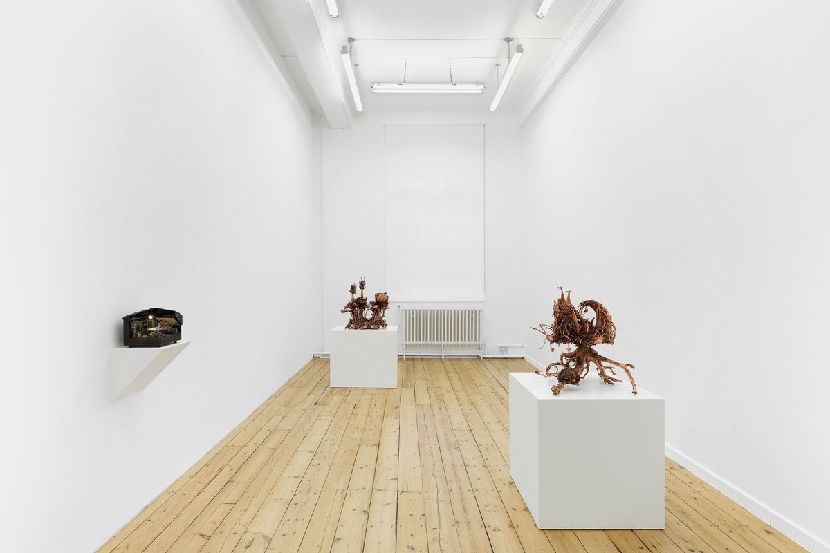 MAX HOOPER SCHNEIDER, 'Twilight at the Earth’s Crust' at Maureen Paley ...