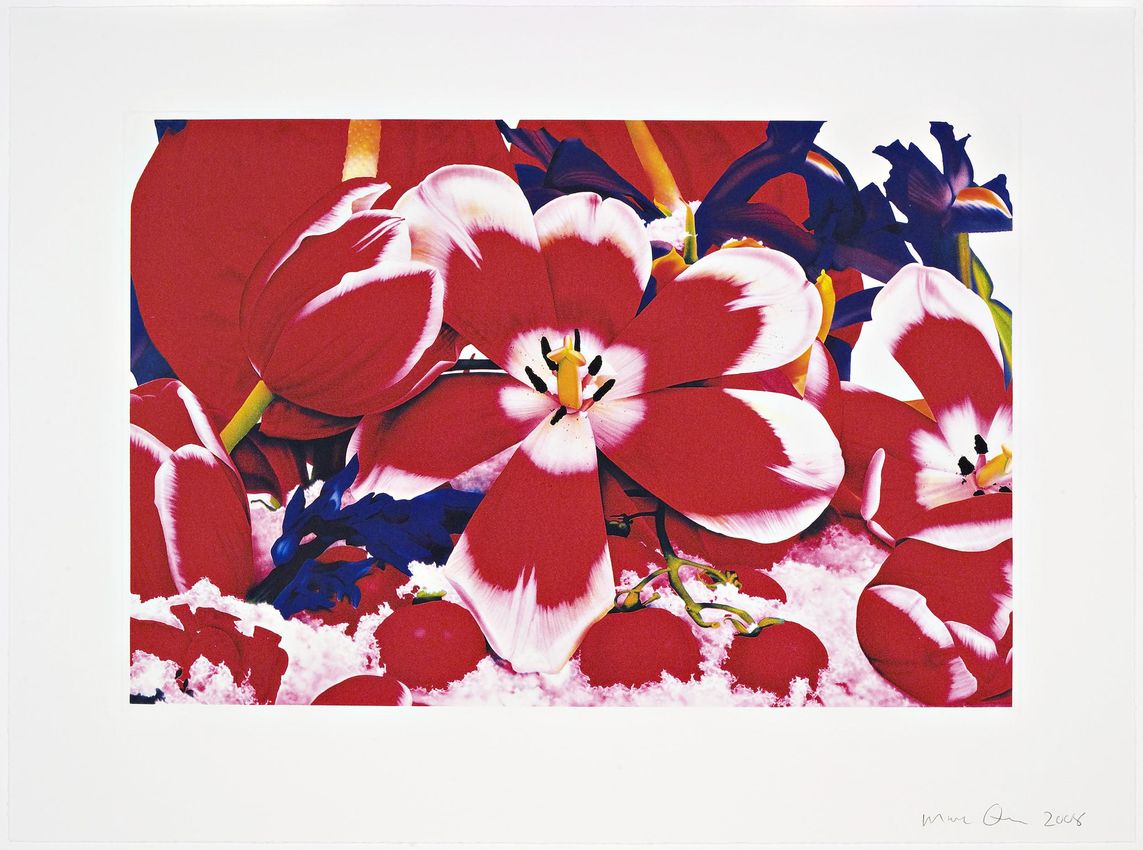 Marc Quinn's Art For Sale, Exhibitions & Biography | Ocula Artist