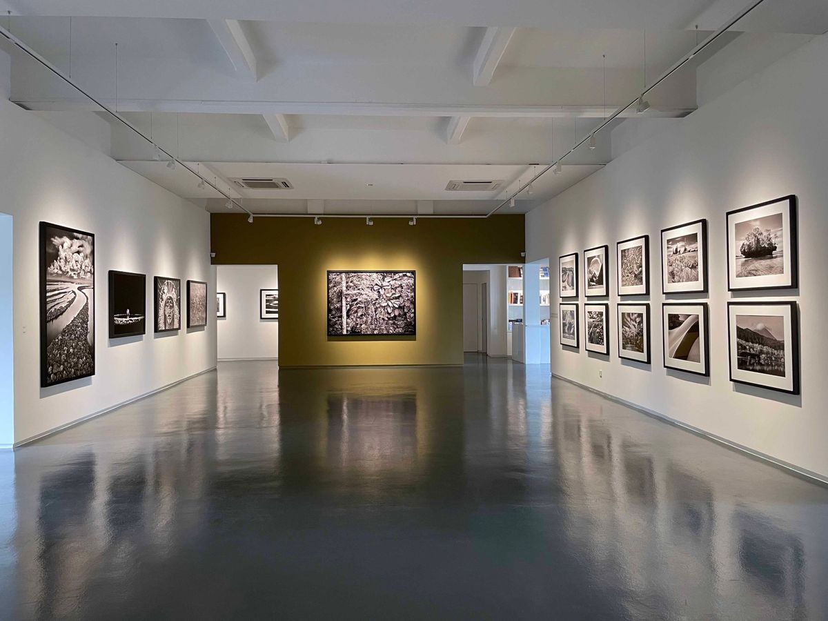 Sebastião Salgado, 'ARTIST / ACTIVIST' at Sundaram Tagore Gallery ...