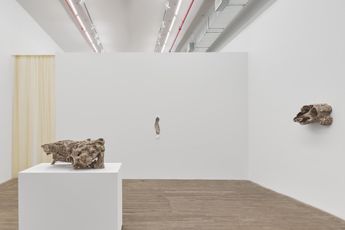 Jes Fan's Art For Sale, Exhibitions & Biography | Ocula Artist