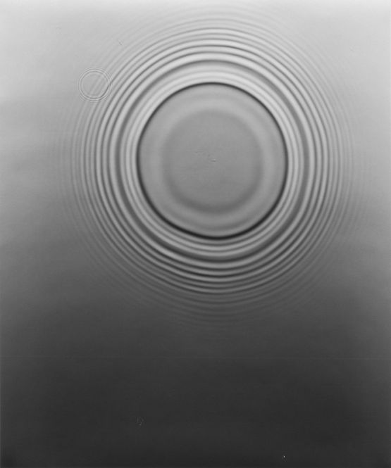 Ark, 2005 by Adam Fuss | Ocula