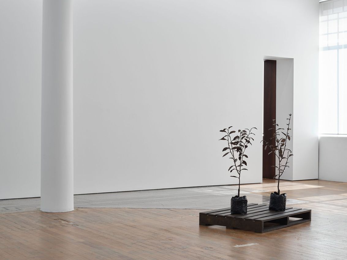 Michael Parekowhai, 'Michael Parekōwhai' at Lett Thomas, Karangahape ...