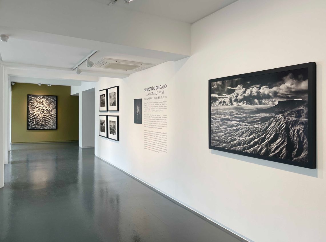Sebastião Salgado, 'ARTIST / ACTIVIST' at Sundaram Tagore Gallery ...