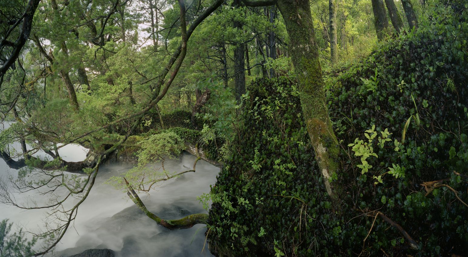 Ian Macdonald Exhibitions at leading galleries | Ocula