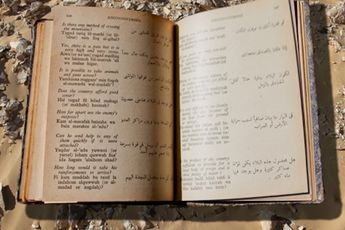 Megan Jenkinson's Art For Sale, Exhibitions & Biography | Ocula Artist